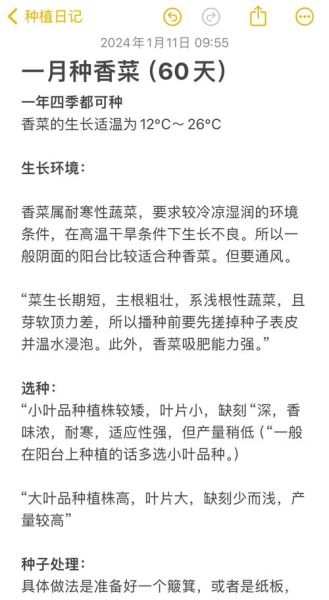 四季香菜什么时候种_四季香菜种植方法-第2张图片-山城妙识