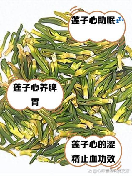 莲子芯的功效与作用_莲子芯的禁忌症有哪些-第1张图片-山城妙识 莲子芯的功效与作用_莲子芯的禁忌症有哪些-第1张图片-山城妙识