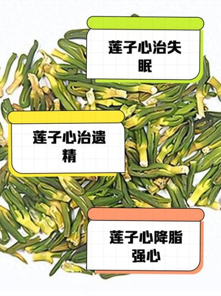 莲子芯的功效与作用_莲子芯的禁忌症有哪些-第2张图片-山城妙识 莲子芯的功效与作用_莲子芯的禁忌症有哪些-第2张图片-山城妙识