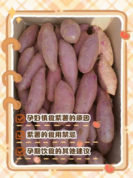 紫薯可以水煮吗_紫薯水煮营养会流失吗-第1张图片-山城妙识 紫薯可以水煮吗_紫薯水煮营养会流失吗-第1张图片-山城妙识