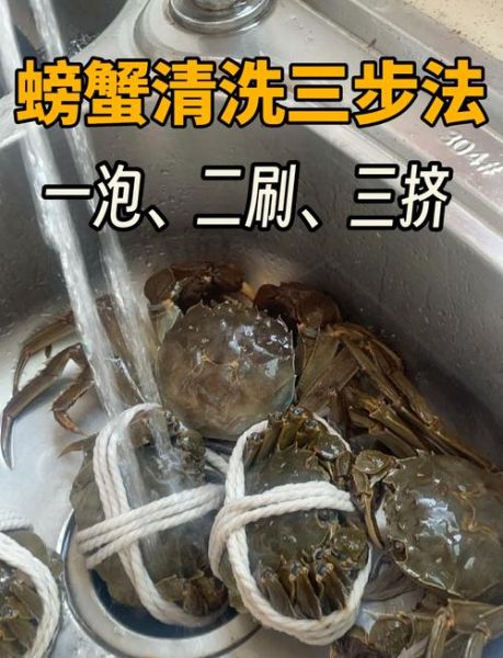螃蟹怎么处理干净_活螃蟹清洗步骤-第1张图片-山城妙识 螃蟹怎么处理干净_活螃蟹清洗步骤-第1张图片-山城妙识