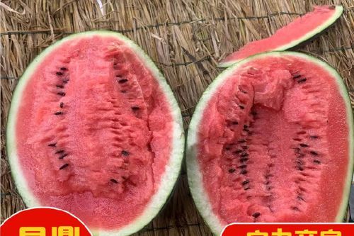 黑美人西瓜产地是哪里_黑美人西瓜哪里最正宗-第1张图片-山城妙识 黑美人西瓜产地是哪里_黑美人西瓜哪里最正宗-第1张图片-山城妙识