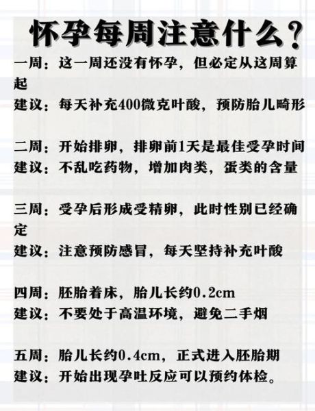 孕妇1一40周食谱大全及做法_孕期饮食注意事项-第1张图片-山城妙识 孕妇1一40周食谱大全及做法_孕期饮食注意事项-第1张图片-山城妙识