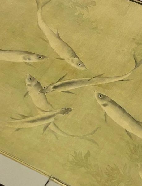 鲦鱼图片怎么拍_鲦鱼图片高清下载-第2张图片-山城妙识 鲦鱼图片怎么拍_鲦鱼图片高清下载-第2张图片-山城妙识