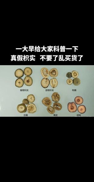 麸炒枳实的功效与作用_麸炒枳实和生枳实区别-第2张图片-山城妙识 麸炒枳实的功效与作用_麸炒枳实和生枳实区别-第2张图片-山城妙识