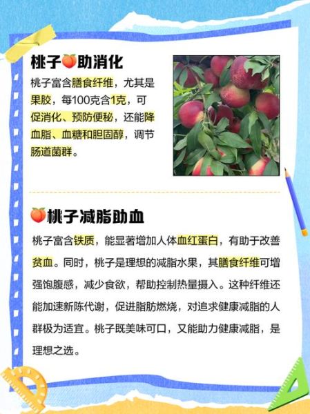 桃子有哪些功效与作用_吃桃子会上火吗-第2张图片-山城妙识 桃子有哪些功效与作用_吃桃子会上火吗-第2张图片-山城妙识