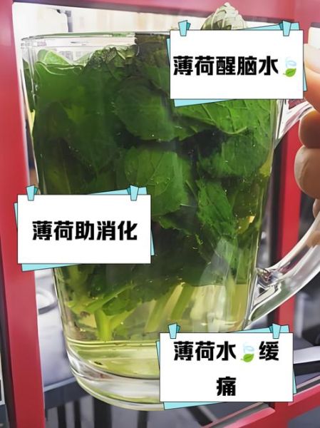 薄荷叶怎么泡水喝_薄荷叶泡水喝的正确方法-第3张图片-山城妙识 薄荷叶怎么泡水喝_薄荷叶泡水喝的正确方法-第3张图片-山城妙识