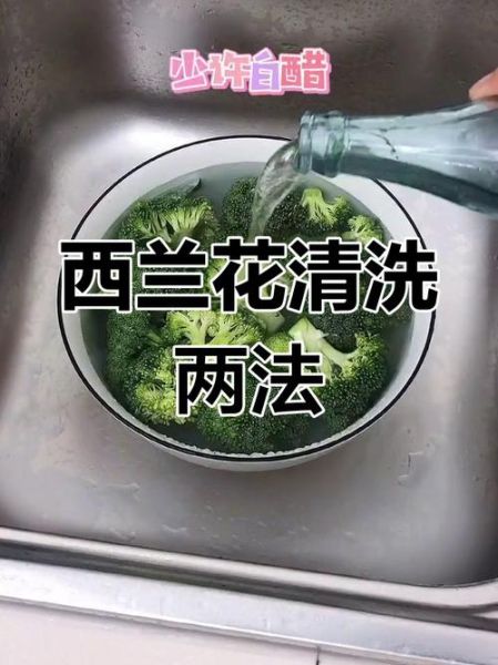 西兰花怎么洗才干净_西兰花清洗的正确方法-第2张图片-山城妙识 西兰花怎么洗才干净_西兰花清洗的正确方法-第2张图片-山城妙识