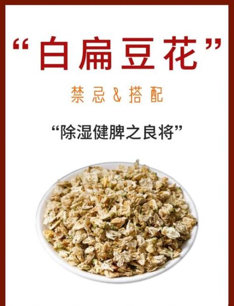 白扁豆花泡水喝的功效_白扁豆花怎么晒干保存-第1张图片-山城妙识