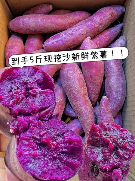 紫薯图片大全大图_紫薯品种怎么区分-第2张图片-山城妙识 紫薯图片大全大图_紫薯品种怎么区分-第2张图片-山城妙识
