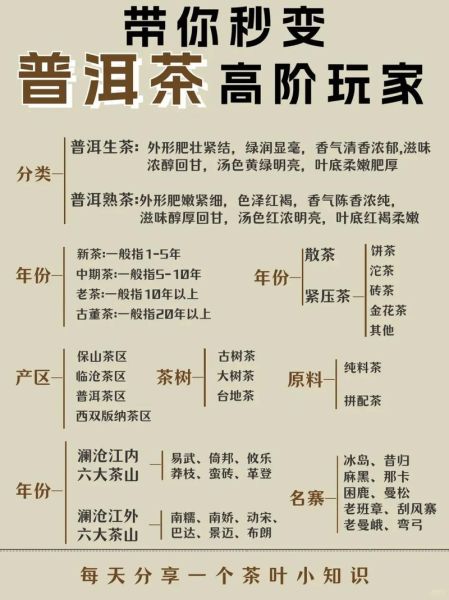 普洱茶有什么功效与作用_普洱茶适合什么人喝-第1张图片-山城妙识