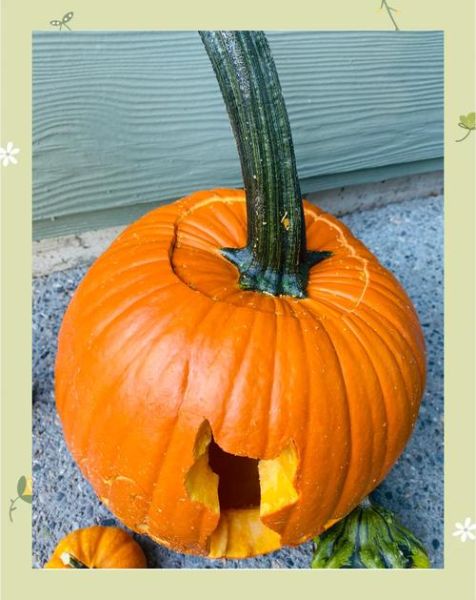 怎样做南瓜灯_南瓜灯雕刻教程-第3张图片-山城妙识