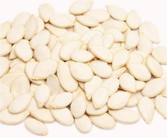 白瓜子是什么瓜的种子_白瓜子营养价值高吗-第3张图片-山城妙识 白瓜子是什么瓜的种子_白瓜子营养价值高吗-第3张图片-山城妙识