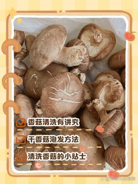 鲜香菇怎么清洗_鲜香菇清洗方法-第2张图片-山城妙识