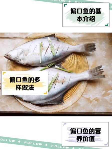 偏口鱼多少钱一斤_偏口鱼图片及价格-第1张图片-山城妙识 偏口鱼多少钱一斤_偏口鱼图片及价格-第1张图片-山城妙识