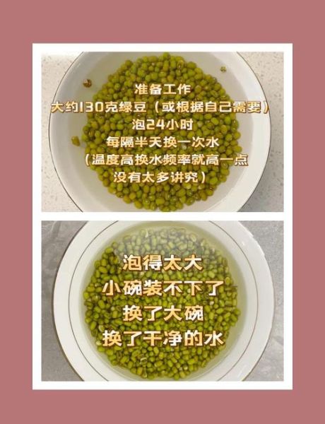 在家怎么生豆芽_绿豆芽几天能发芽-第1张图片-山城妙识 在家怎么生豆芽_绿豆芽几天能发芽-第1张图片-山城妙识