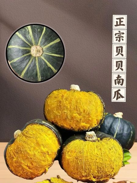 贝贝南瓜的营养价值_贝贝南瓜的食用禁忌-第2张图片-山城妙识 贝贝南瓜的营养价值_贝贝南瓜的食用禁忌-第2张图片-山城妙识