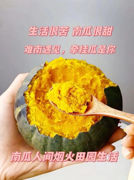 贝贝南瓜的营养价值_贝贝南瓜的食用禁忌-第1张图片-山城妙识 贝贝南瓜的营养价值_贝贝南瓜的食用禁忌-第1张图片-山城妙识