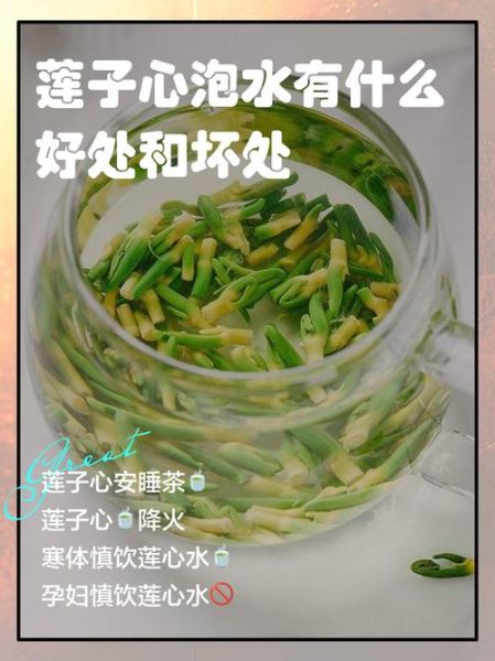 莲子心有什么功效_莲子心泡水喝的禁忌-第1张图片-山城妙识 莲子心有什么功效_莲子心泡水喝的禁忌-第1张图片-山城妙识