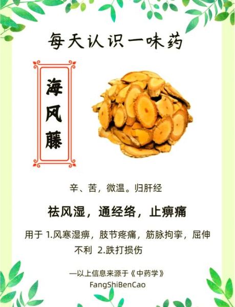 海风藤的功效与作用_海风藤能治哪些病-第1张图片-山城妙识 海风藤的功效与作用_海风藤能治哪些病-第1张图片-山城妙识