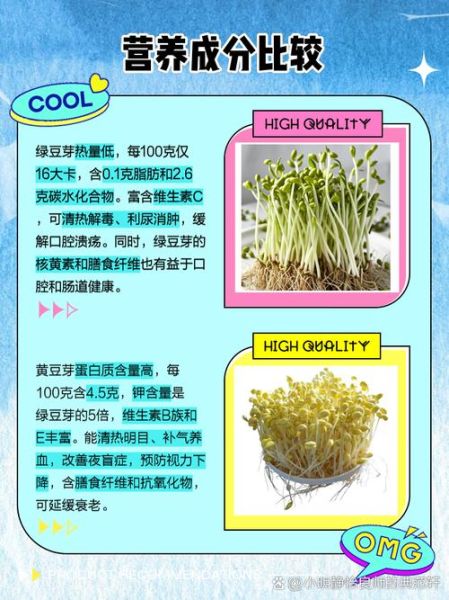 绿豆芽和黄豆芽的区别_哪个更有营养-第1张图片-山城妙识 绿豆芽和黄豆芽的区别_哪个更有营养-第1张图片-山城妙识