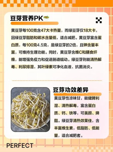 绿豆芽和黄豆芽的区别_哪个更有营养-第3张图片-山城妙识 绿豆芽和黄豆芽的区别_哪个更有营养-第3张图片-山城妙识