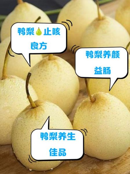 鸭梨煮水有什么功效_鸭梨煮水可以止咳吗-第1张图片-山城妙识 鸭梨煮水有什么功效_鸭梨煮水可以止咳吗-第1张图片-山城妙识