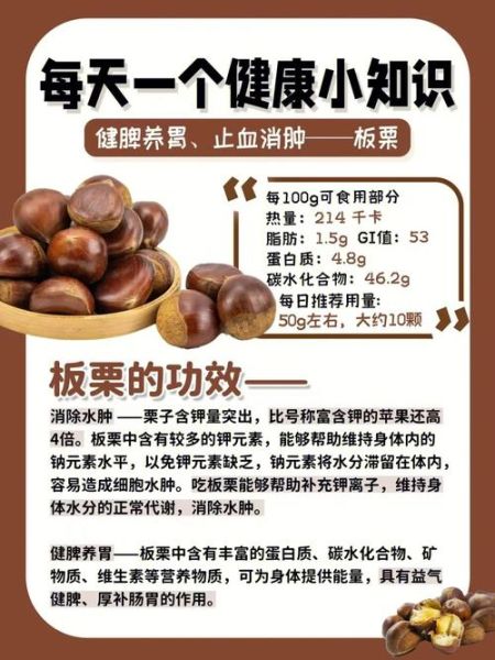 板栗的营养价值_板栗的药用价值有哪些-第2张图片-山城妙识 板栗的营养价值_板栗的药用价值有哪些-第2张图片-山城妙识