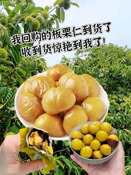 鲜栗子怎么煮好剥皮_鲜栗子煮多久好剥皮-第3张图片-山城妙识