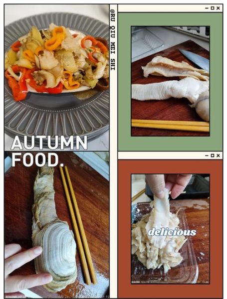 象拔蚌可以怎么做_象拔蚌好吃吗-第2张图片-山城妙识 象拔蚌可以怎么做_象拔蚌好吃吗-第2张图片-山城妙识