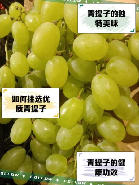 青提子和红提子哪个好_青提子红提子营养区别-第1张图片-山城妙识