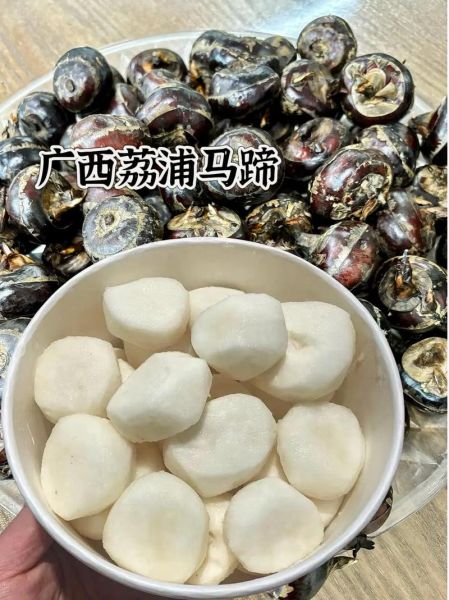 马蹄子图片大全哪里找_马蹄子高清图欣赏技巧-第2张图片-山城妙识 马蹄子图片大全哪里找_马蹄子高清图欣赏技巧-第2张图片-山城妙识