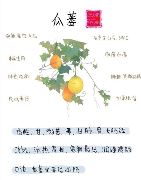 全瓜蒌的功效与作用及禁忌_哪些人不能吃全瓜蒌-第1张图片-山城妙识