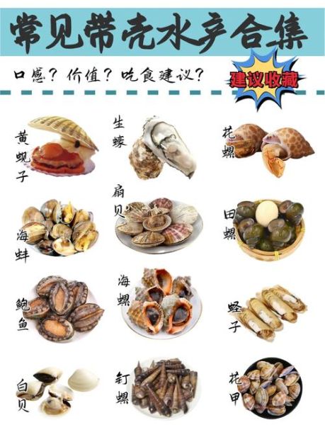 海鲜名称大全_海鲜有哪些种类-第1张图片-山城妙识 海鲜名称大全_海鲜有哪些种类-第1张图片-山城妙识