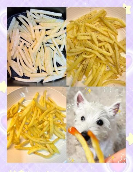 空气炸锅自制薯条怎么做_为什么薯条不脆-第2张图片-山城妙识 空气炸锅自制薯条怎么做_为什么薯条不脆-第2张图片-山城妙识