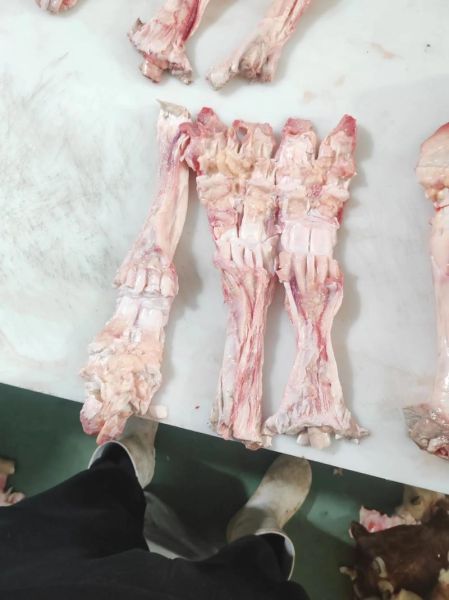 牛蹄筋是牛的哪个部位_牛蹄筋营养价值高吗-第1张图片-山城妙识