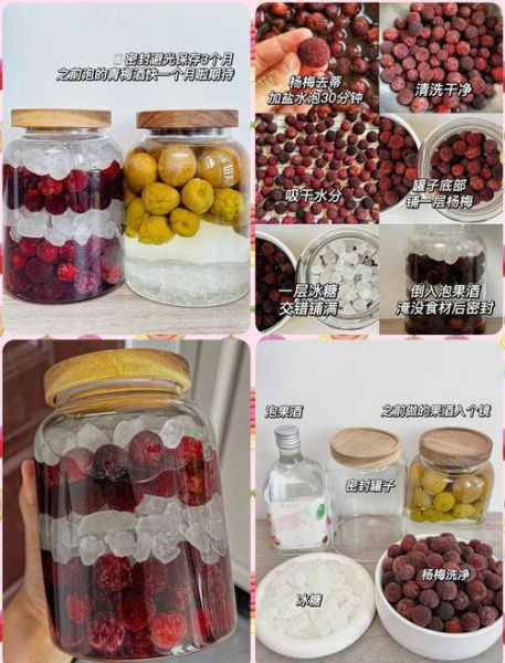 杨梅烧酒怎么做_杨梅烧酒配方比例-第1张图片-山城妙识