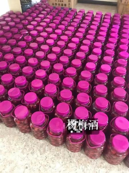 杨梅烧酒怎么做_杨梅烧酒配方比例-第3张图片-山城妙识