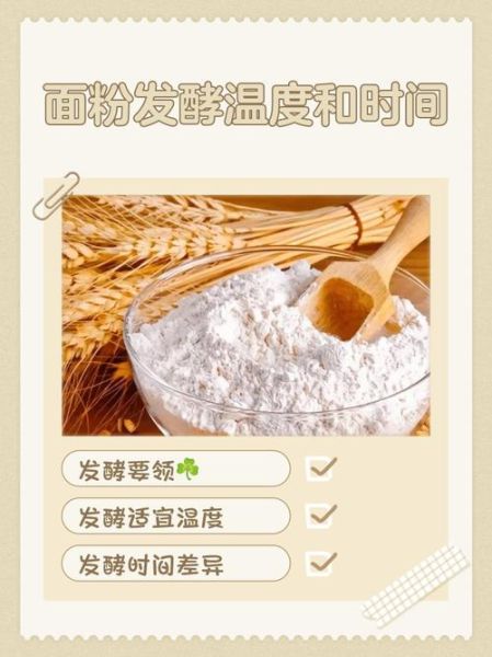 面粉发酵可以一晚上吗_过夜发酵安全吗-第3张图片-山城妙识 面粉发酵可以一晚上吗_过夜发酵安全吗-第3张图片-山城妙识