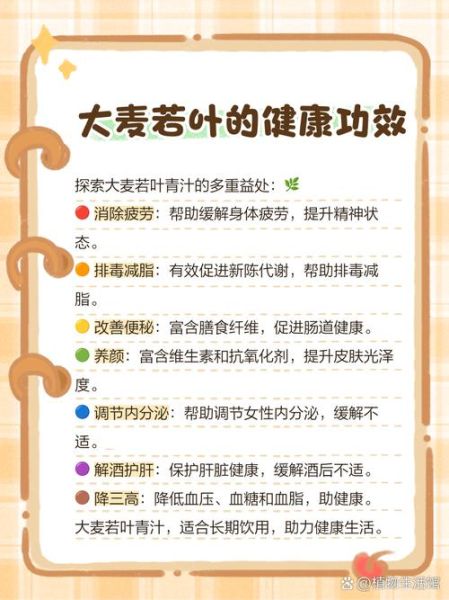 大麦若叶粉末怎么喝_大麦若叶粉末的功效与作用-第2张图片-山城妙识