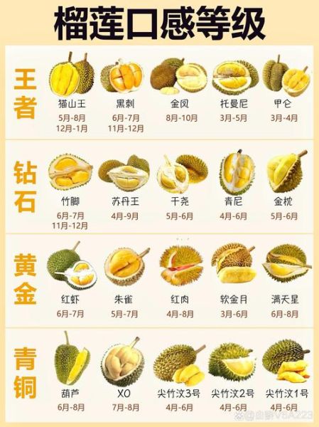 吃一个榴莲会胖几斤_榴莲热量是多少-第3张图片-山城妙识 吃一个榴莲会胖几斤_榴莲热量是多少-第3张图片-山城妙识