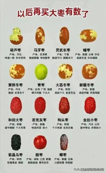 大枣品种有哪些_如何挑选优质大枣-第1张图片-山城妙识 大枣品种有哪些_如何挑选优质大枣-第1张图片-山城妙识