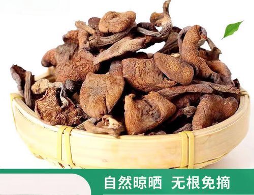 草蘑怎么保存_草蘑可以冷冻吗-第3张图片-山城妙识