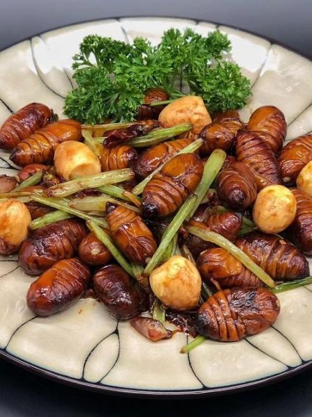 蚕蛹怎么做营养价值高_蚕蛹怎么吃最补-第1张图片-山城妙识 蚕蛹怎么做营养价值高_蚕蛹怎么吃最补-第1张图片-山城妙识