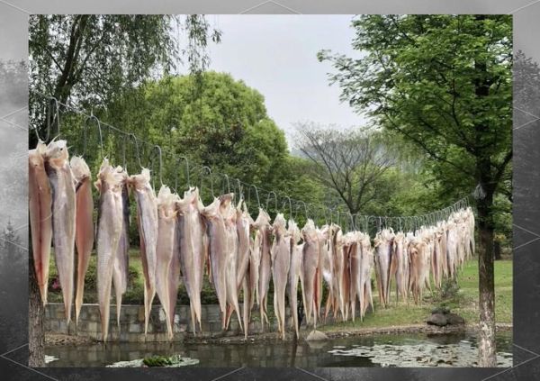 正宗五香刀鱼怎么做_五香刀鱼腌制多久才入味-第2张图片-山城妙识 正宗五香刀鱼怎么做_五香刀鱼腌制多久才入味-第2张图片-山城妙识