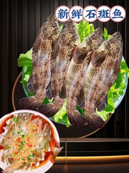 青石斑鱼怎么清蒸好吃_青石斑鱼家常做法步骤-第3张图片-山城妙识 青石斑鱼怎么清蒸好吃_青石斑鱼家常做法步骤-第3张图片-山城妙识