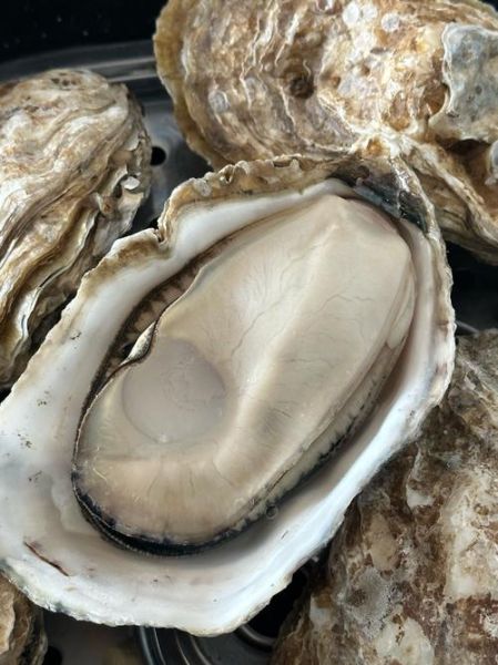 生蚝蒸多久才熟_蒸生蚝的正确做法-第3张图片-山城妙识 生蚝蒸多久才熟_蒸生蚝的正确做法-第3张图片-山城妙识