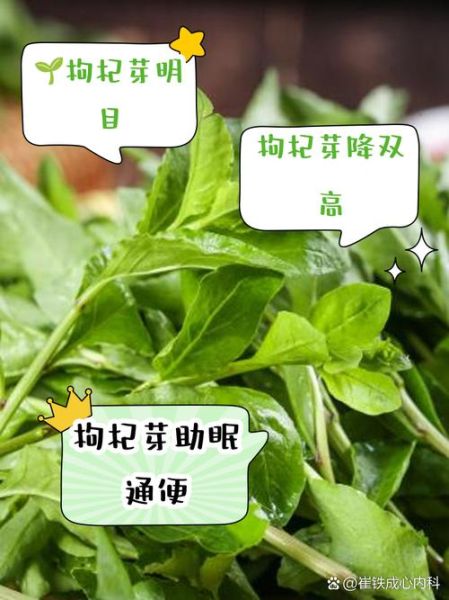 枸杞芽茶的功效与禁忌_适合什么人喝-第1张图片-山城妙识