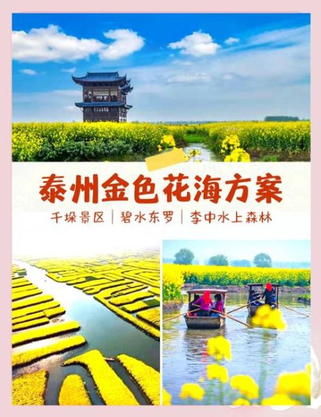 兴化菜花节什么时候去最好_兴化千垛景区油菜花观赏攻略-第3张图片-山城妙识 兴化菜花节什么时候去最好_兴化千垛景区油菜花观赏攻略-第3张图片-山城妙识