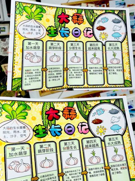 四年级蒜苗生长记录表怎么写_蒜苗观察日记模板-第1张图片-山城妙识